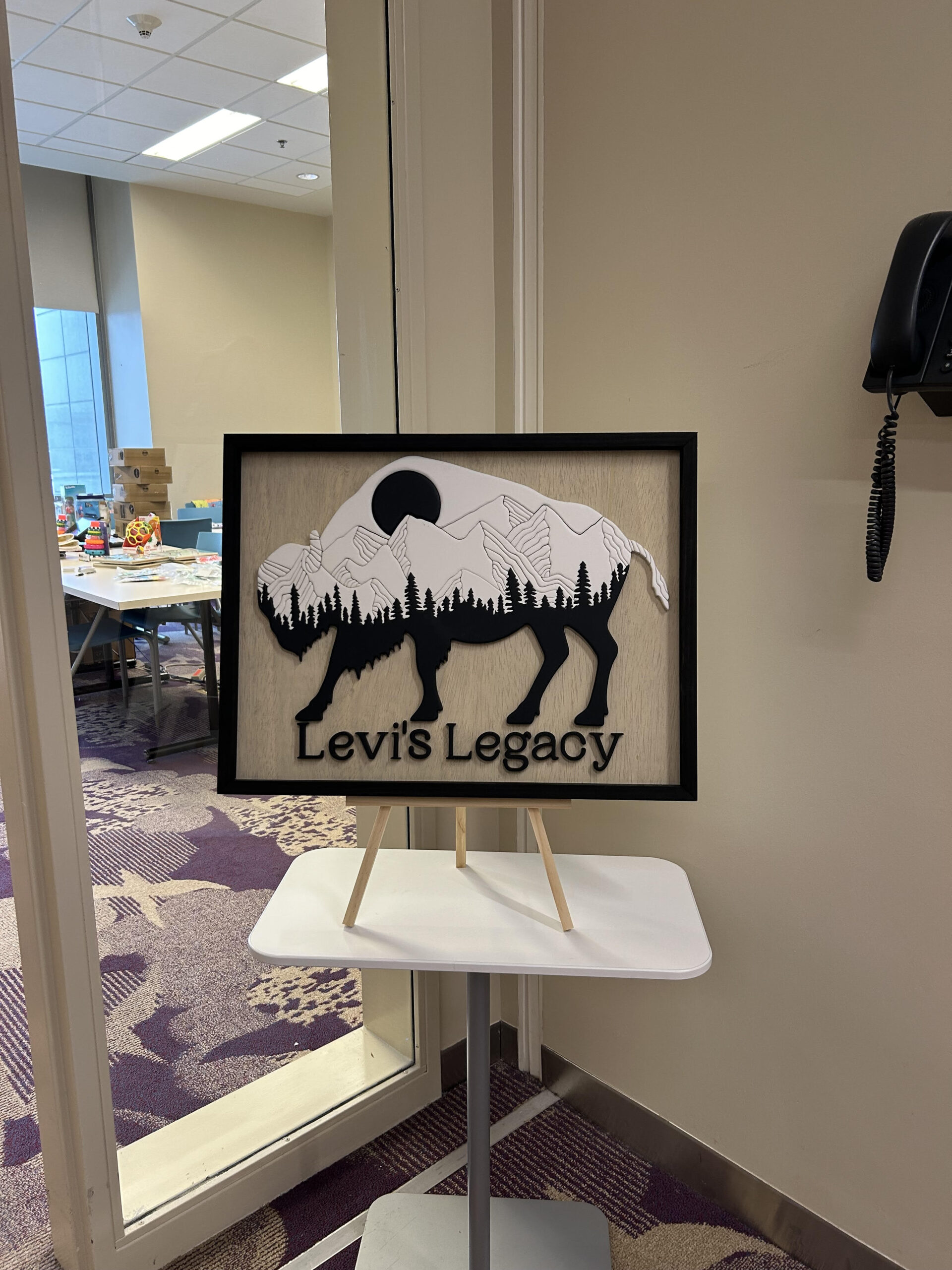 Levi's Legacy